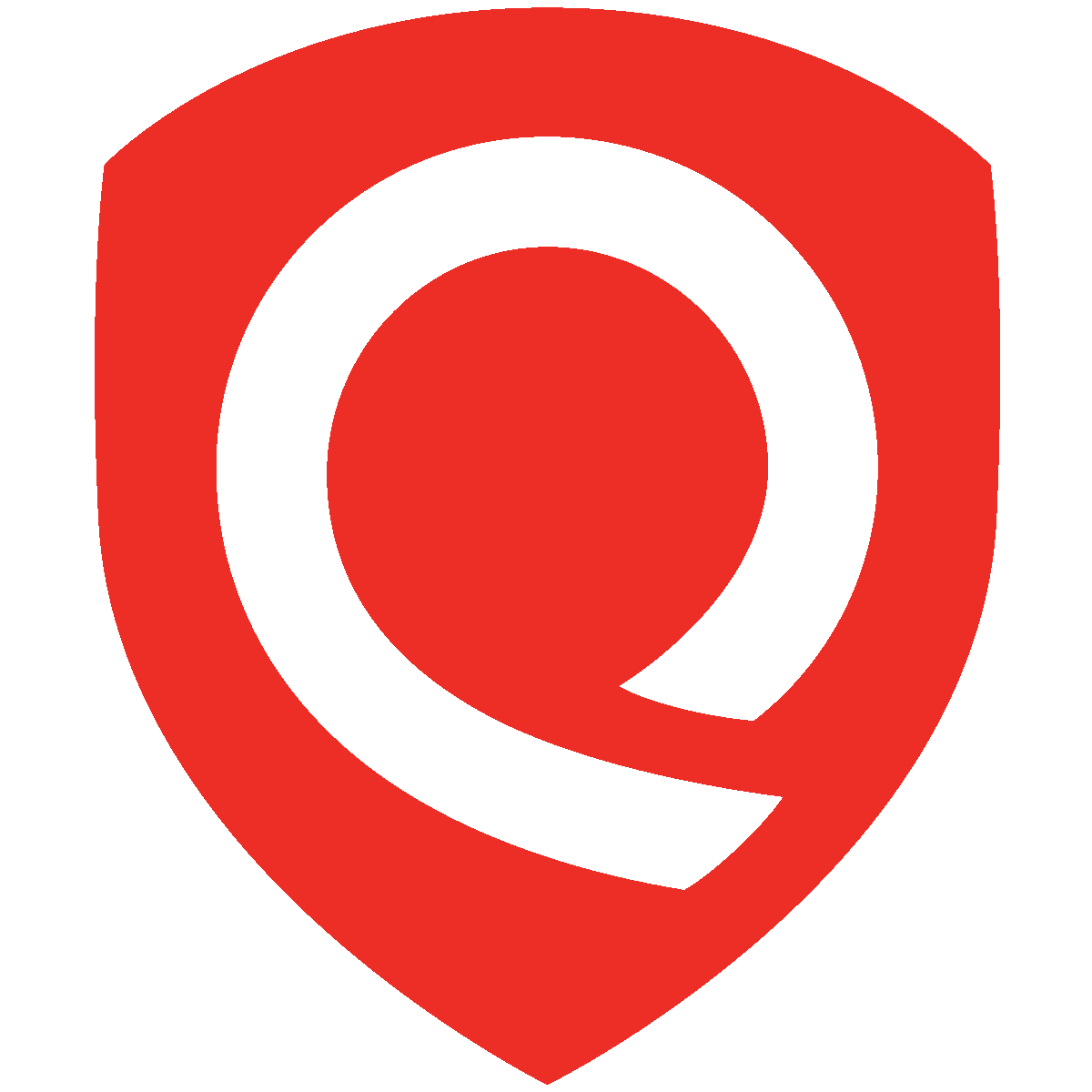 The Web Guy - Qualys Inc - Information on Qualys Inc